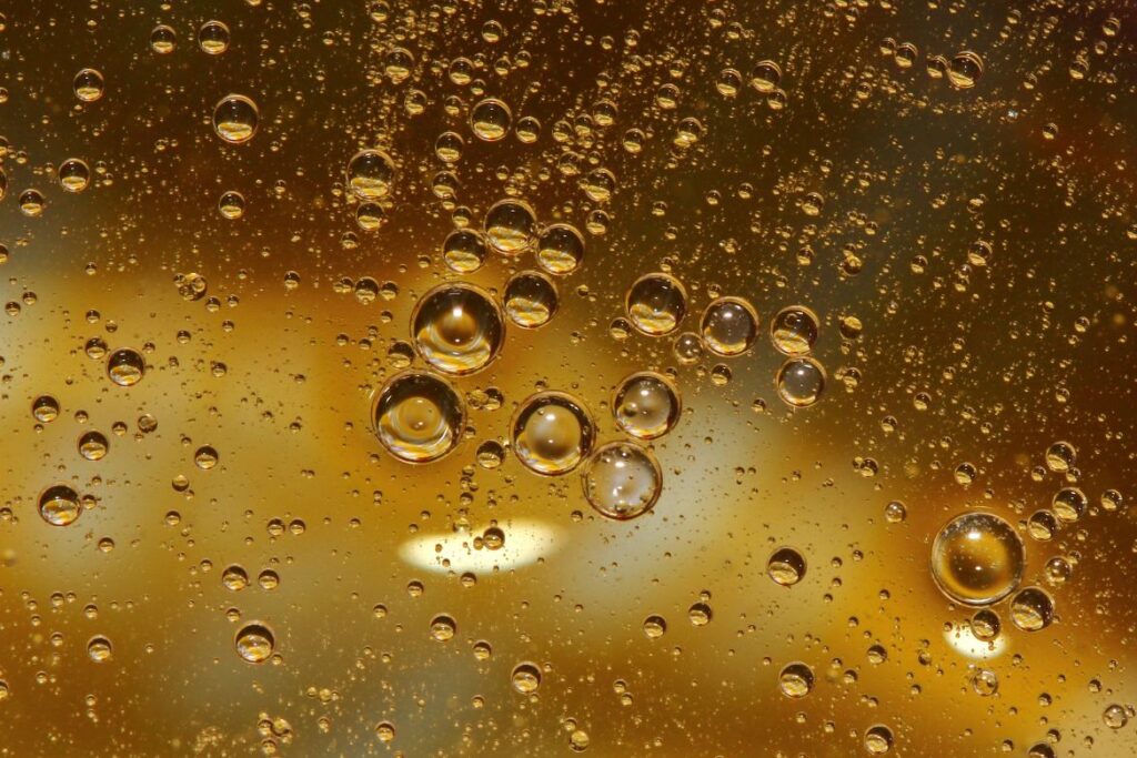 On Tribology: The Science Of Wear, Lubrication, And Friction